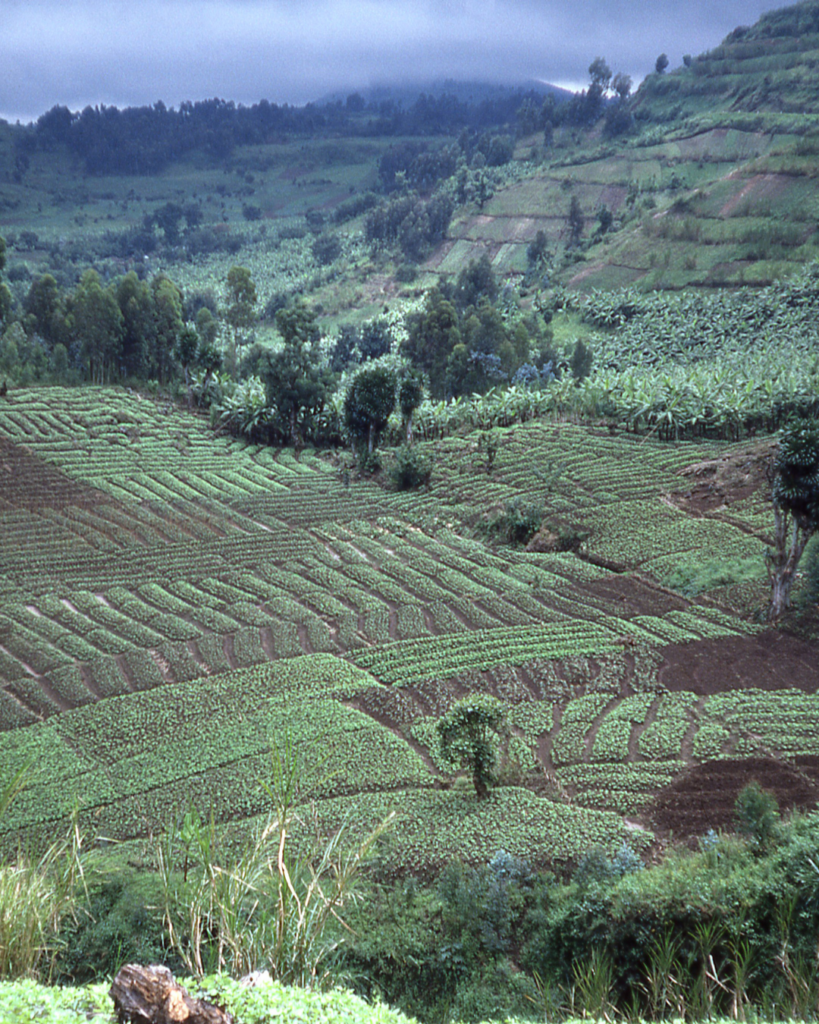 Computer Science (Short-term) | Study Abroad